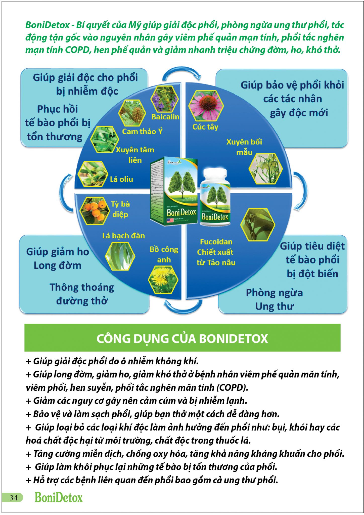 [GIÁ GỐC] Boni Detox hỗ trợ giải độc phổi hộp 30 viên - Thuốc 5 sao ...